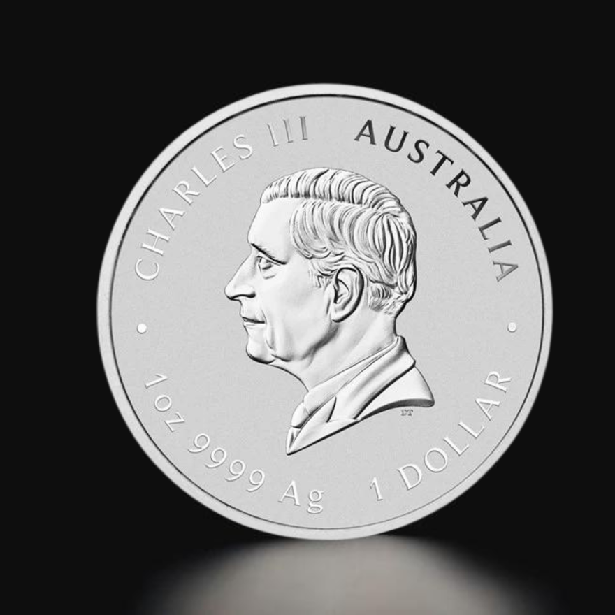 1 oz Australian Lunar Year of the Snake 2025 Silver Coin - Tavex ...